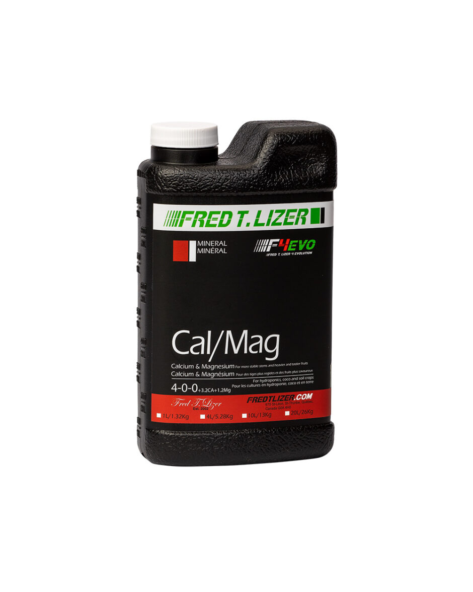 Substra Vega A SW - canna - La boite Mb